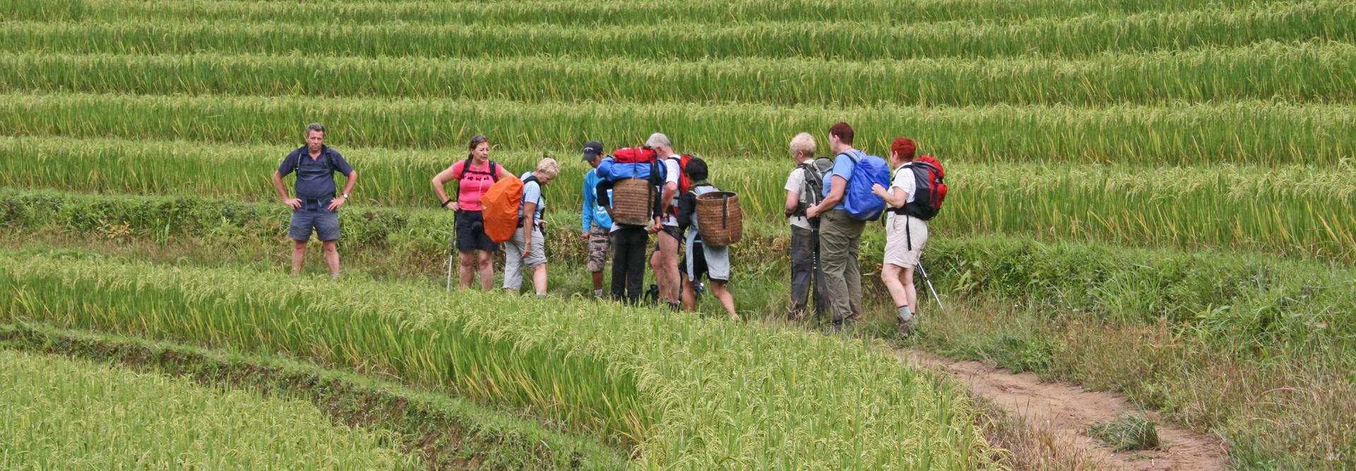 Sapa- challenging for mountainous trekking - Sapa Tours From Hanoi